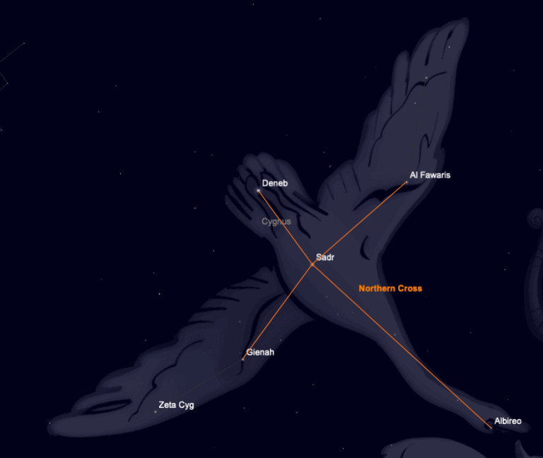 Cygnus Constellation Guide | The Summer Swan in Our Night Sky
